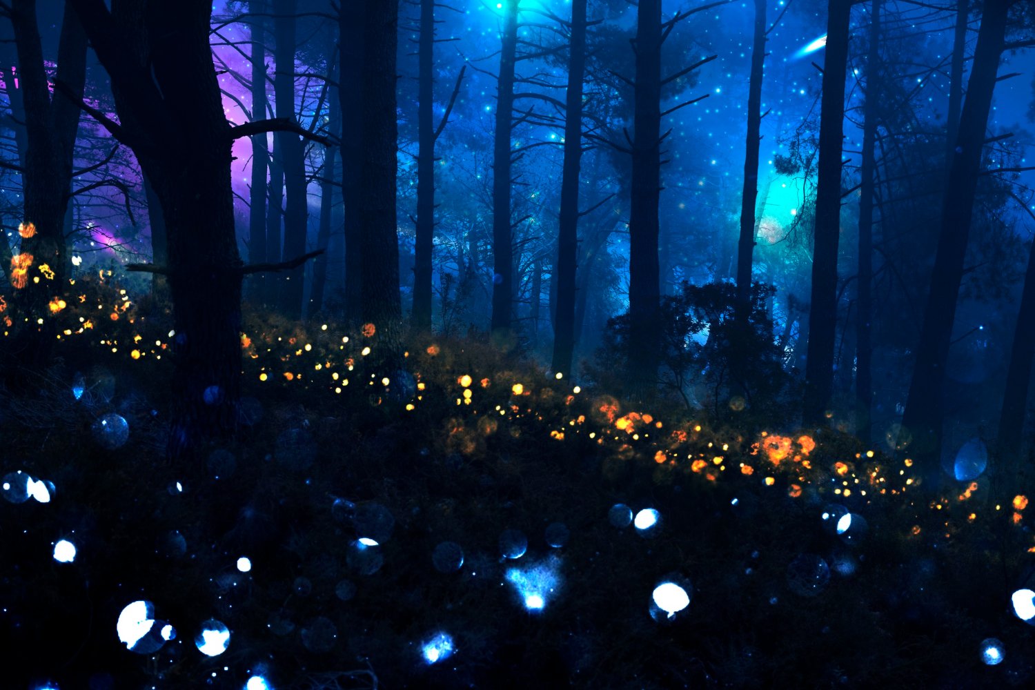 ¿Por qué brillan las luciérnagas? La bioluminiscencia y su explicación
